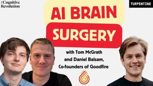 Popular Mechanistic Interpretability: Goodfire Lights the Way to AI Safety